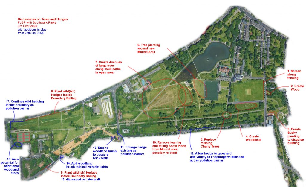 Wildlife | Friends of Burgess Park